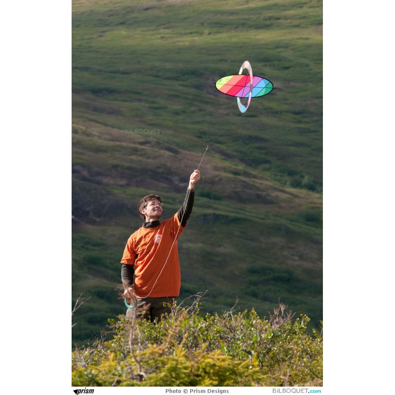 Cerf-volant Flip Kite