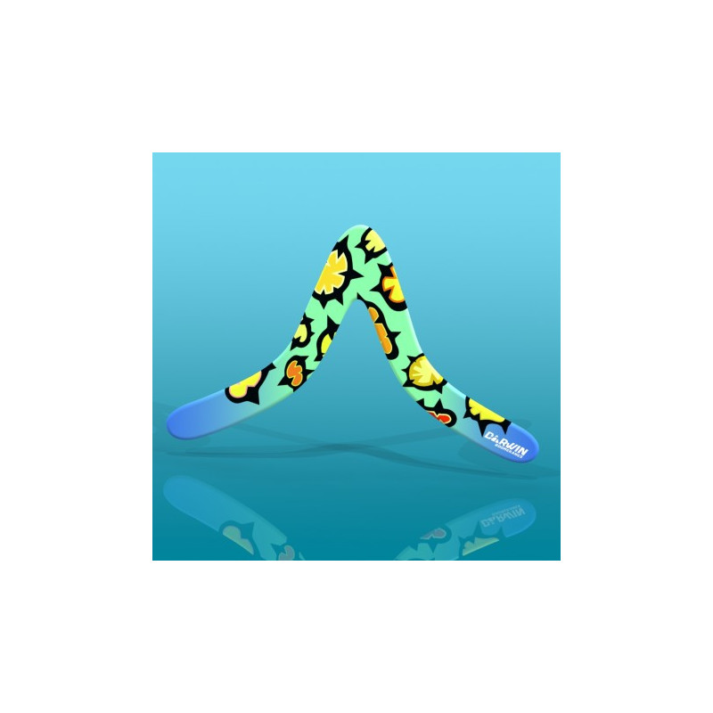 Boomerang Bewoo virus for beginners