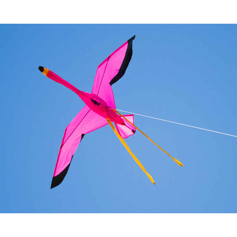 Flamingo 3D - Single-line Kite by Joel Scholz